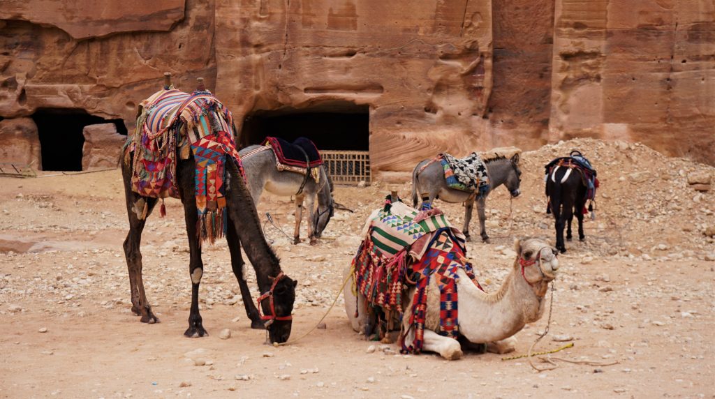 Visitar PETRA, a capital dos Nabateus • projecto100rota